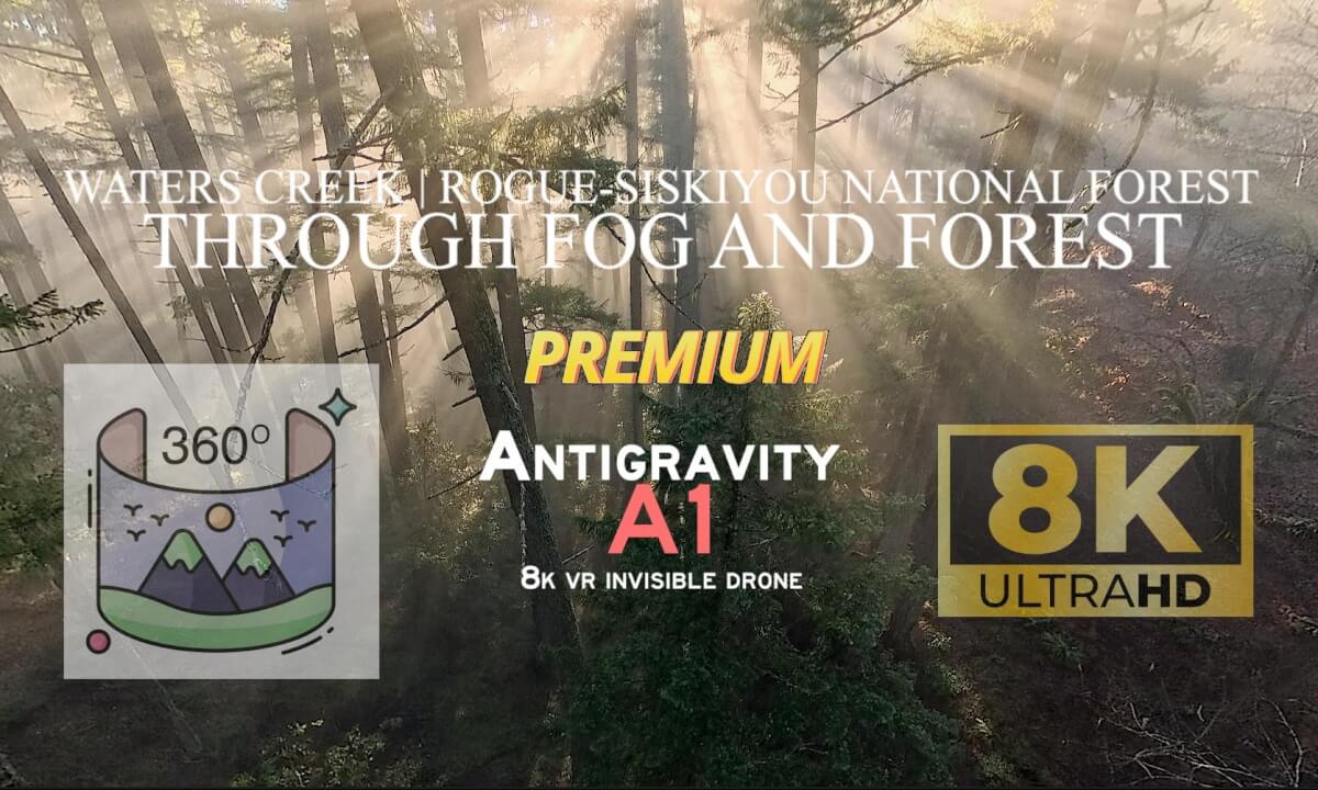 Antigravity A1 Invisible Drone | Waters Creek | In the Fog and Forest ...