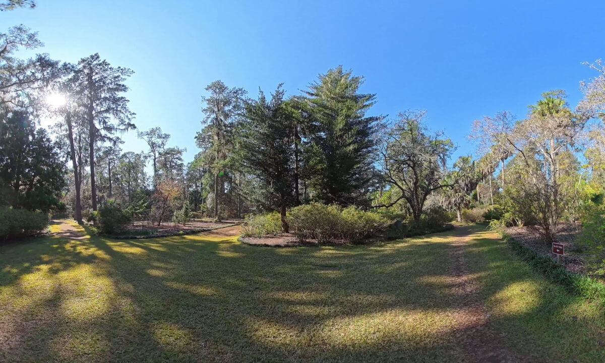 8K VR 360 Garden Tour Alfred B Maclay Gardens State Park [5]