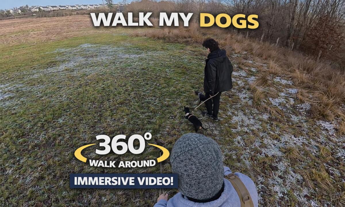 Walking The Mini Gang - Scotland | 8K 360° Walk Around Experience