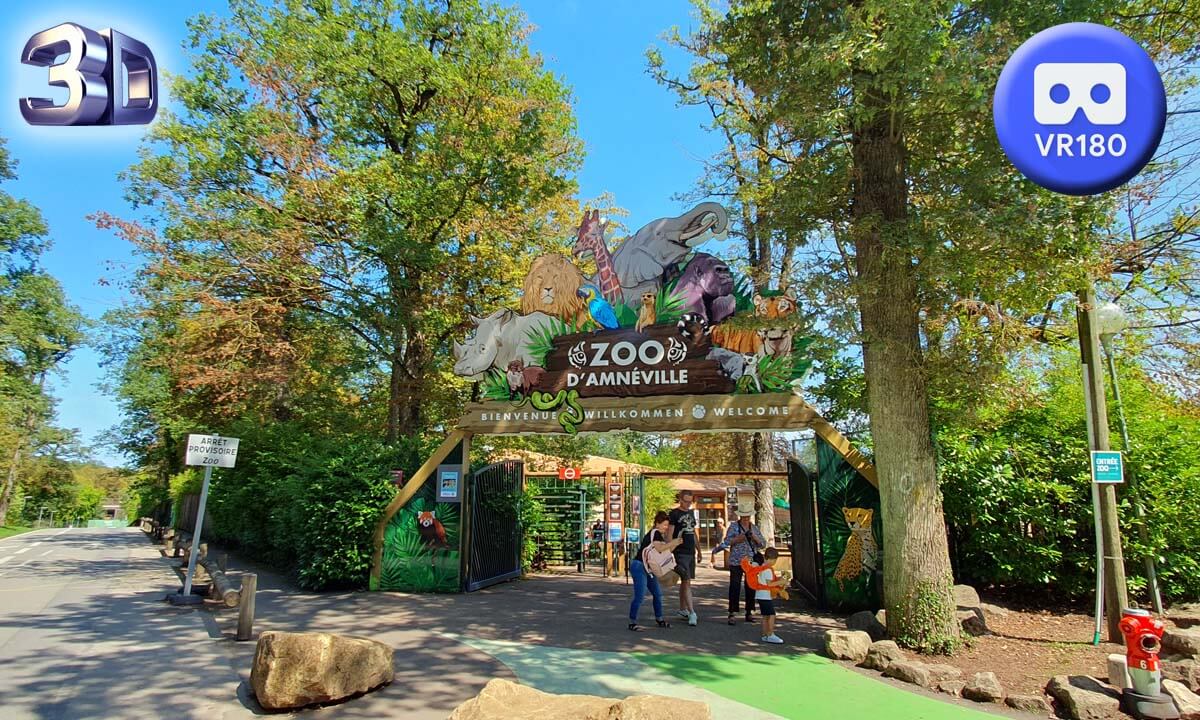 Zoo Amneville France part 1 VR180 3D August 2023 | DeoVR