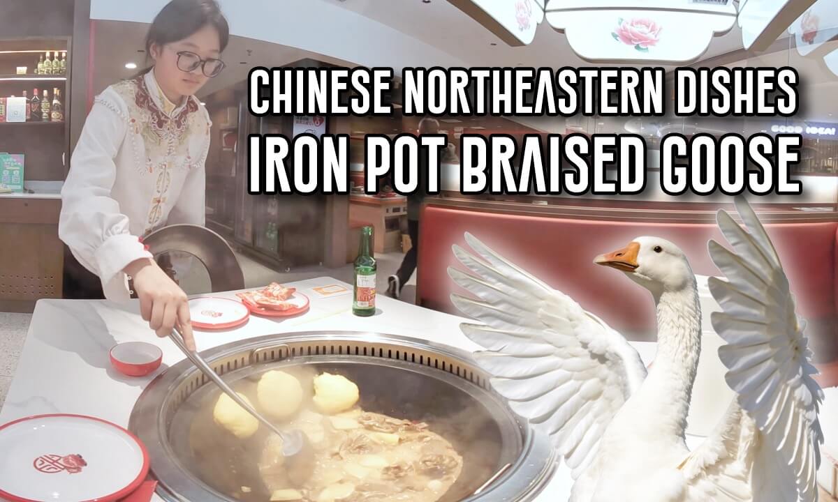 Chinese Northeastern Dishes - Iron Pot Braised Goose | DeoVR