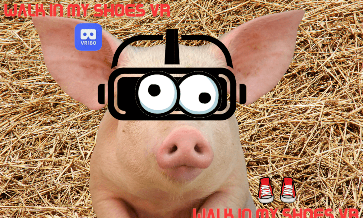 Cows munching - VeRy Dope VR - VR Video | DeoVR