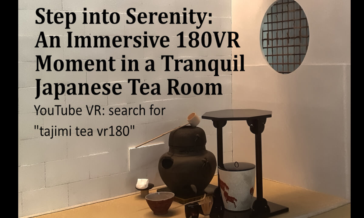 Modern Chashitsu E v03_vr_180-injected | DeoVR