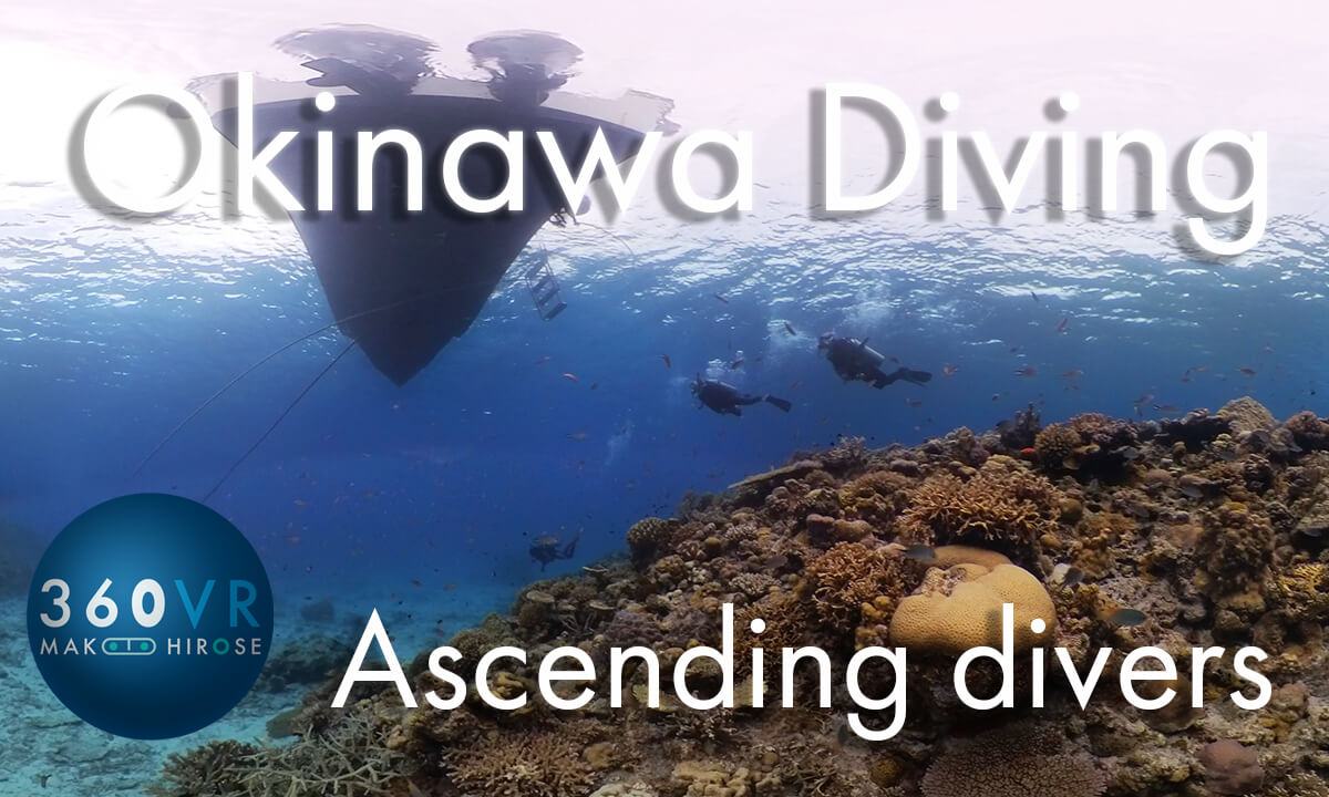 Okinawa Diving [ Ascending Divers ] -Travel Japan- | DeoVR