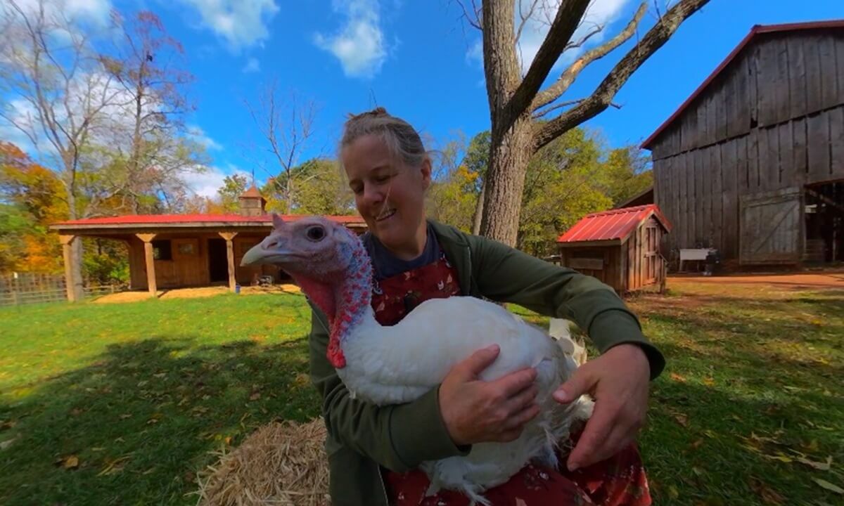 The Story of Ren: A Turkey at Poplar Spring Animal Sanctuary 2023 3D 180 VR