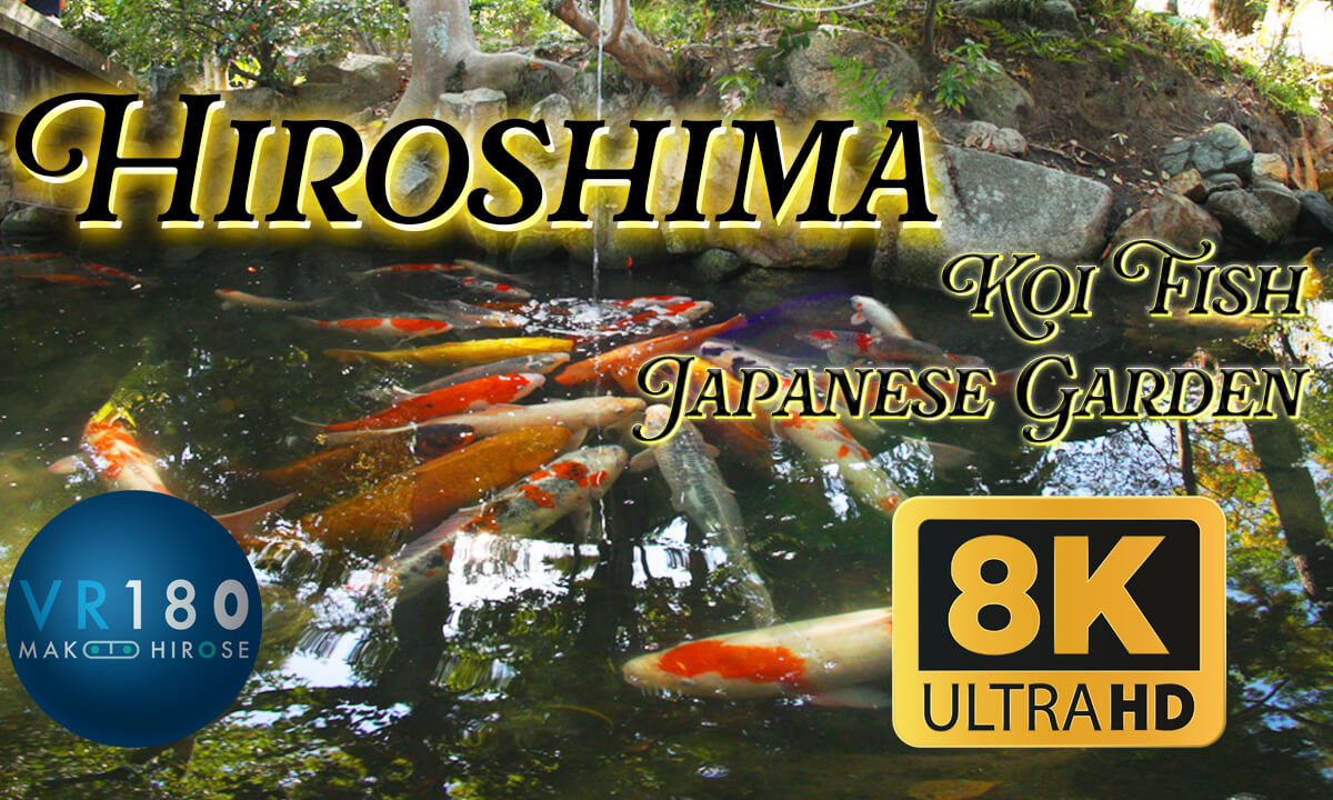 Japanese garden and Koi Fish, Hiroshima, Japan 錦鯉 広島 日本庭園 -Travel Japan ...