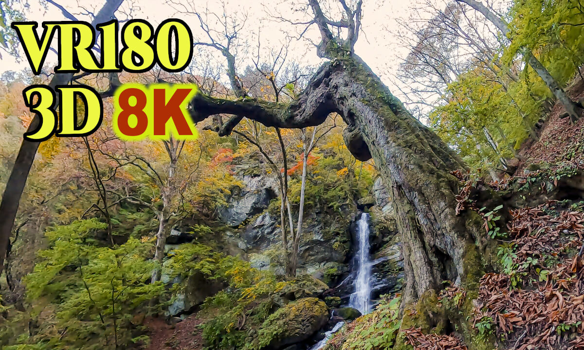 Fudo-fall at Ohyokezawa in chichibu,Saitama,Japan | DeoVR