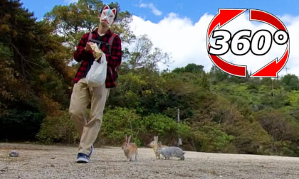 Discover nyoshi 360 rabbit ch Channel. Immersive VR Experience on DeoVR