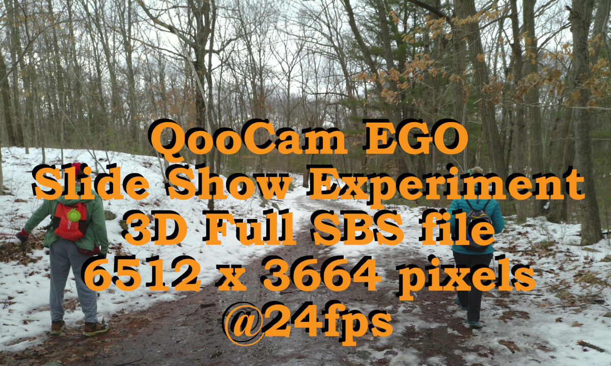 QooCam EGO 3D Slide Show Experiment | DeoVR