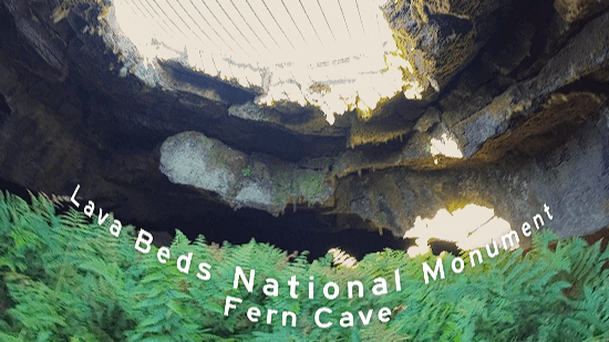 VR 360° Lava Beds National Monument - Fern Cave | DeoVR