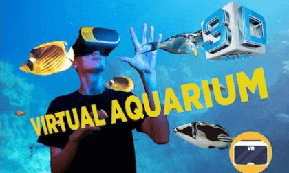 Aquarium3D_SBS_180 - VR FROG - VR Video | DeoVR