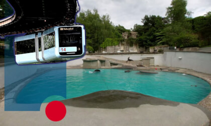 Wuppertal VR (Zoo) - Instant Seal Action 8k 60fps VR180 360 3D