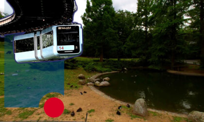 Wuppertal VR (Zoo) - Ducks Respite 8k 60fps VR180 360 3D