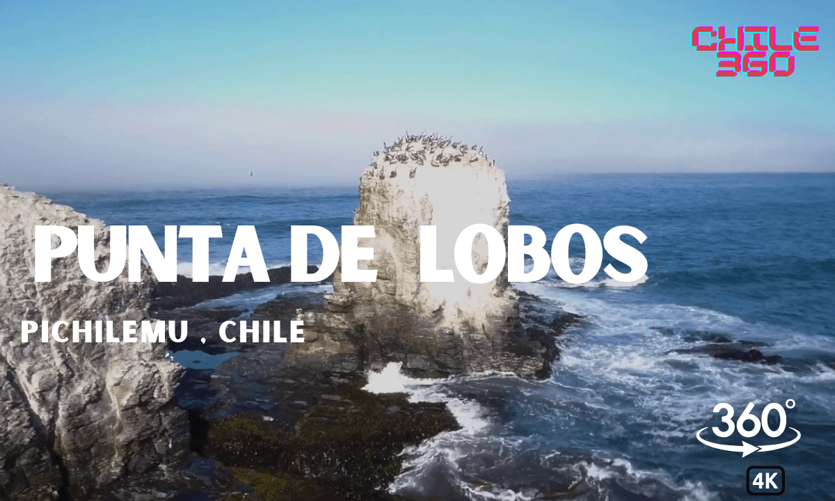 Punta de Lobos , Pichilemu Chile 2024 pt2 | DeoVR