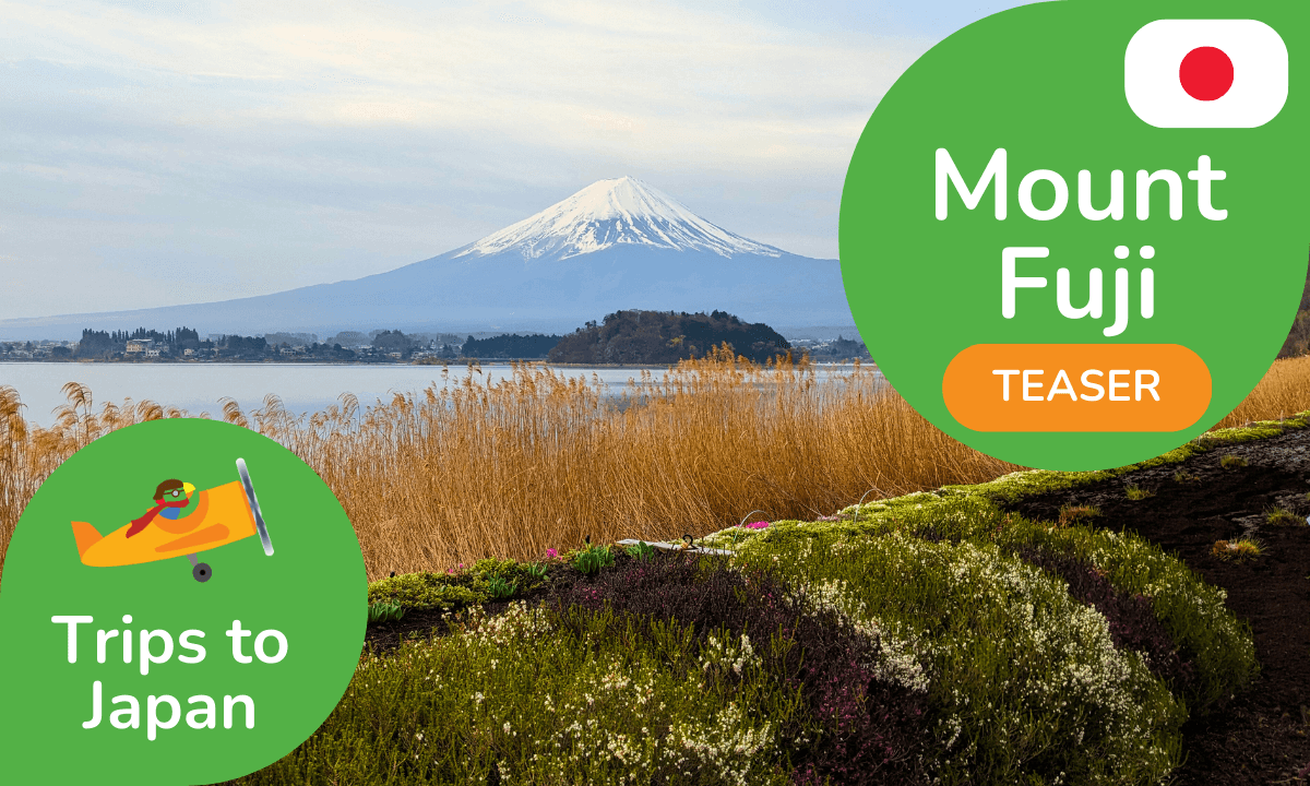 Mount Fuji Teaser | 360 3D 8K Experience | DYNAMIC LANGUAGES