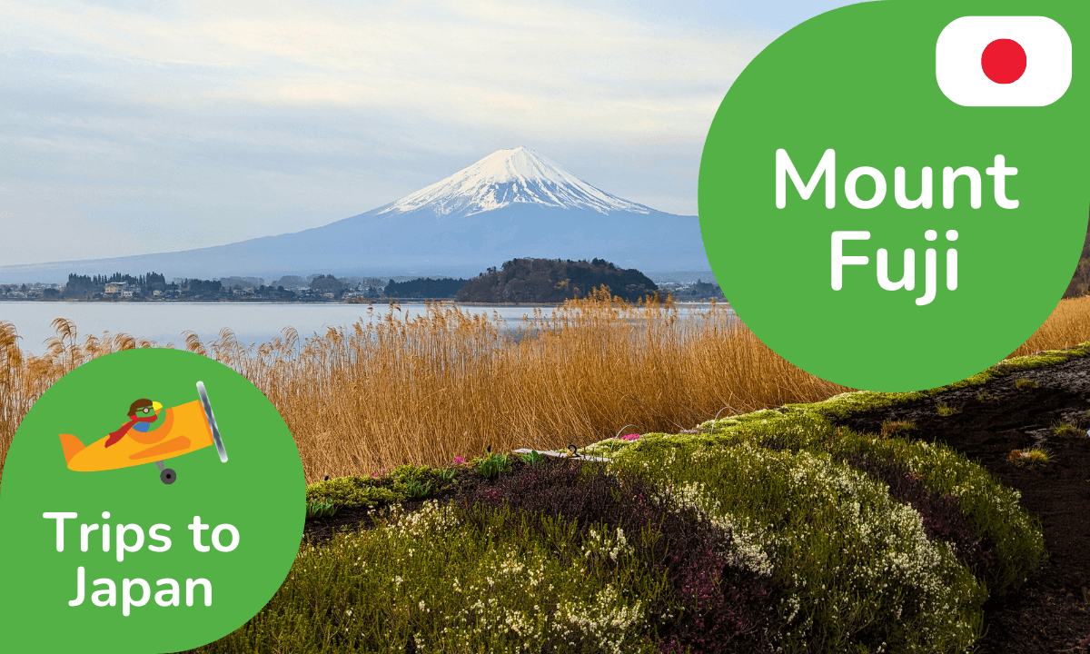 Mount Fuji | 360 3D 8K Experience | DYNAMIC LANGUAGES