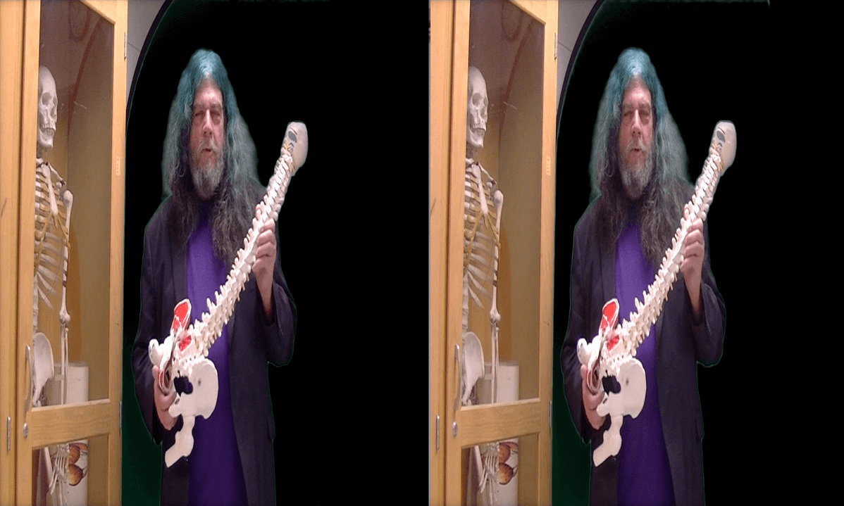 3D Montgomery College, Chemical and Biological Sciences - Bones of the ...