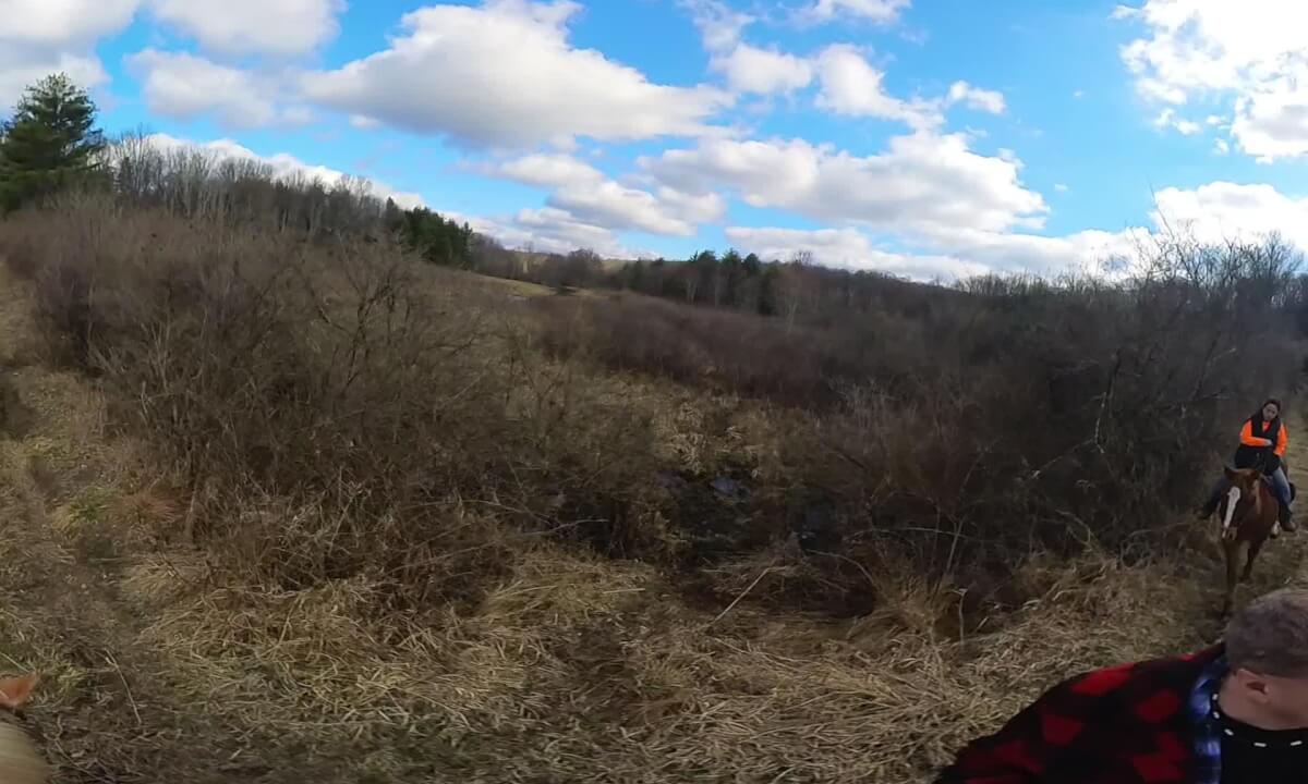 Horseback Riding 2024_03_16_2 (360) | DeoVR