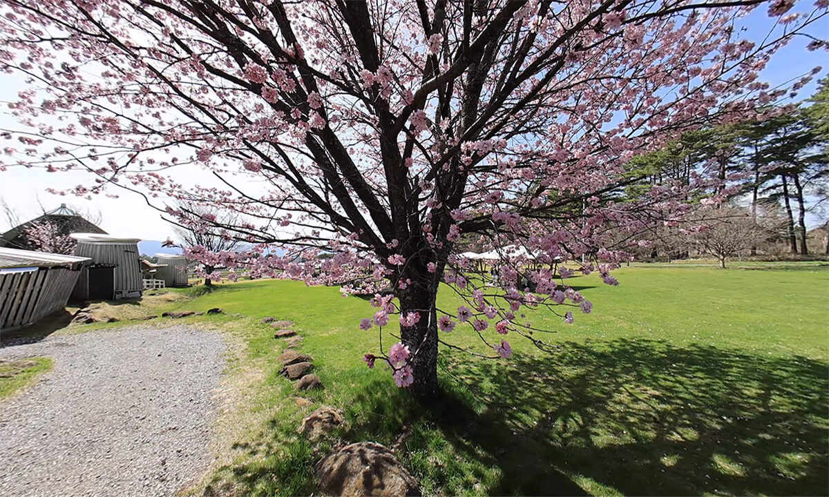 EOS VR SYSTEM TEST - NAOTO SOMESE VR - VR Video | DeoVR