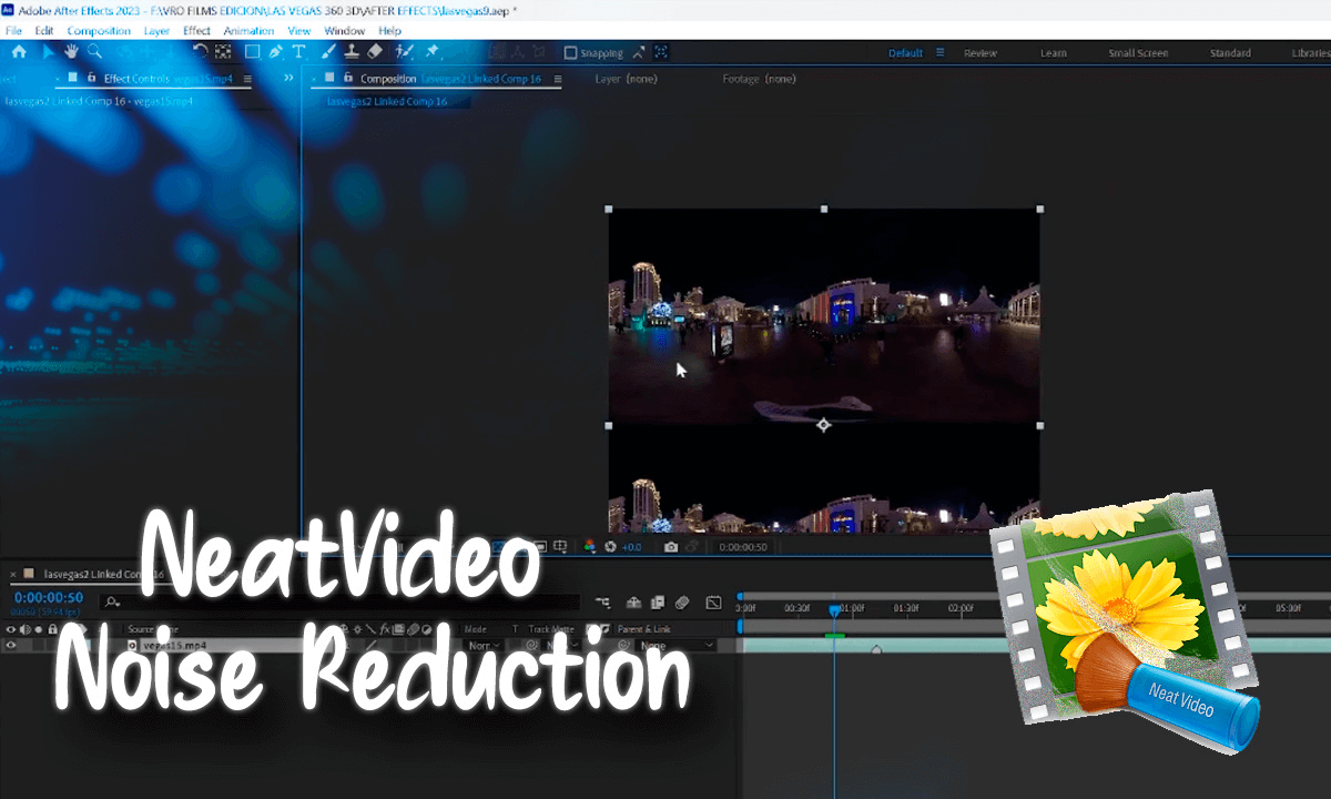Turorial: Noise Reduction with NeatVideo | DeoVR