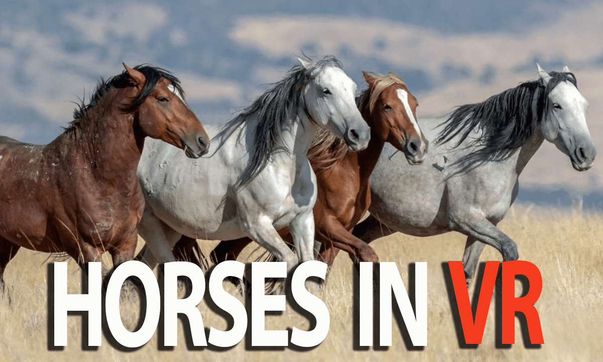 Watch horses running in VR Virtual reality | DeoVR