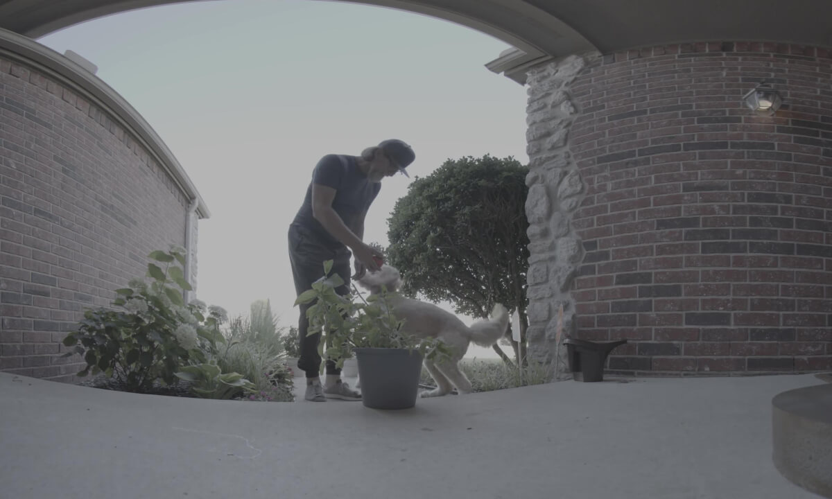 randerball 1 - Frostworks - VR Video | DeoVR