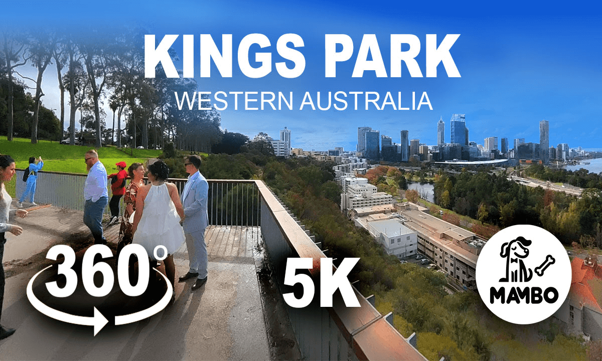 Exploring Kings Park: A Scenic Walking Tour in Perth | DeoVR