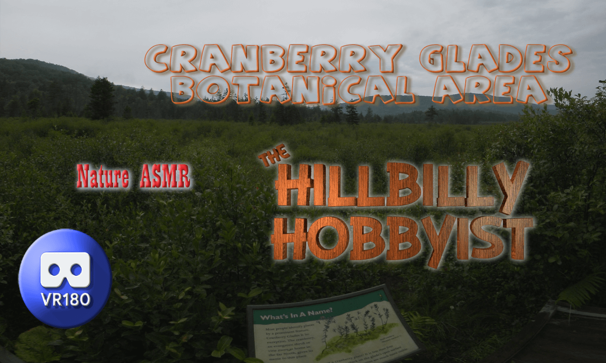 Cranberry Glades Botanical Area VR180 | DeoVR