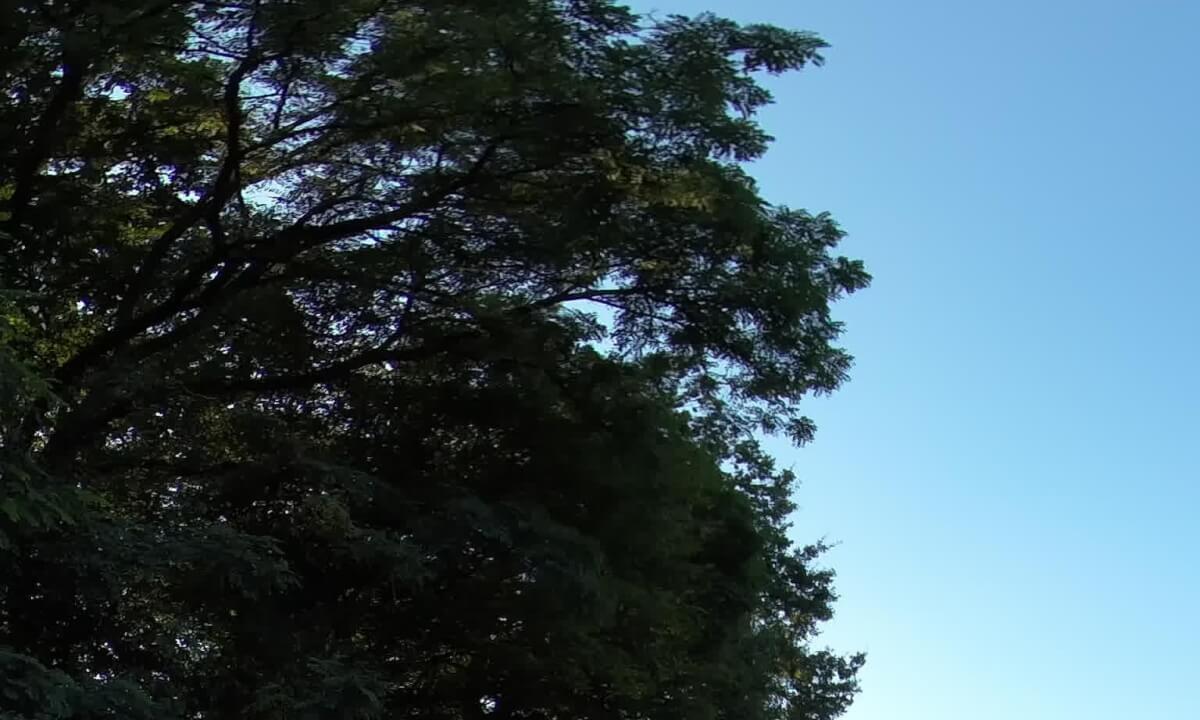 (Check DeoVR Quality and Bitrate) HQDN3D Ducklings at pit lake (8k 360 3d)