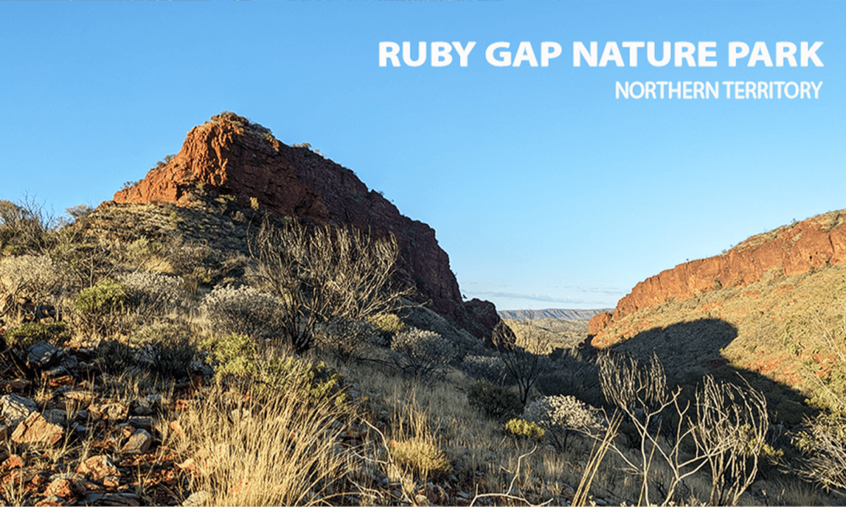 Ruby Gap Nature Park - Northern Territory | DeoVR