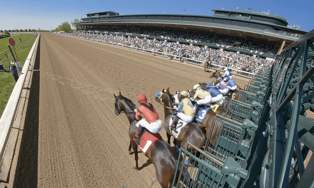 The Race Gate Experience - VR180 8K60P | DeoVR