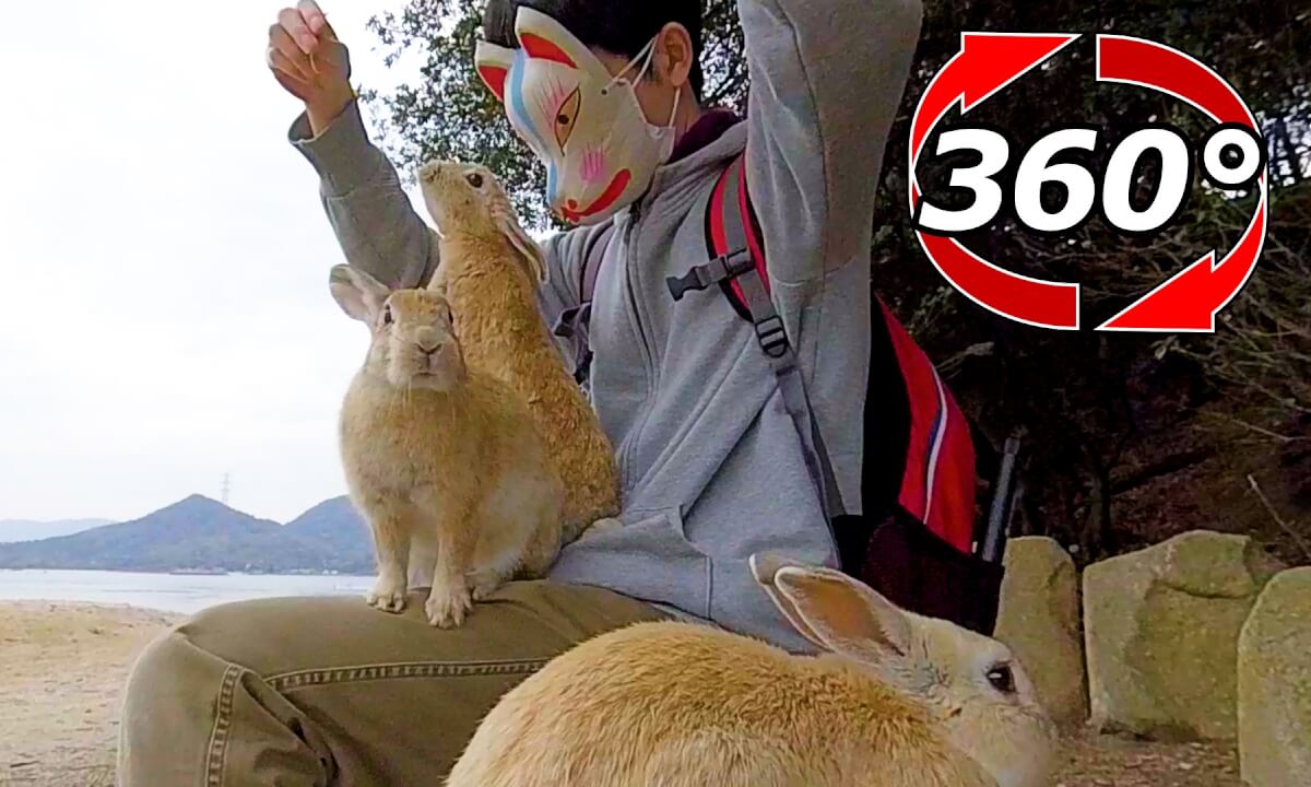 [360 Video] The top of the knee is very popular. Rabbit is popular on ...