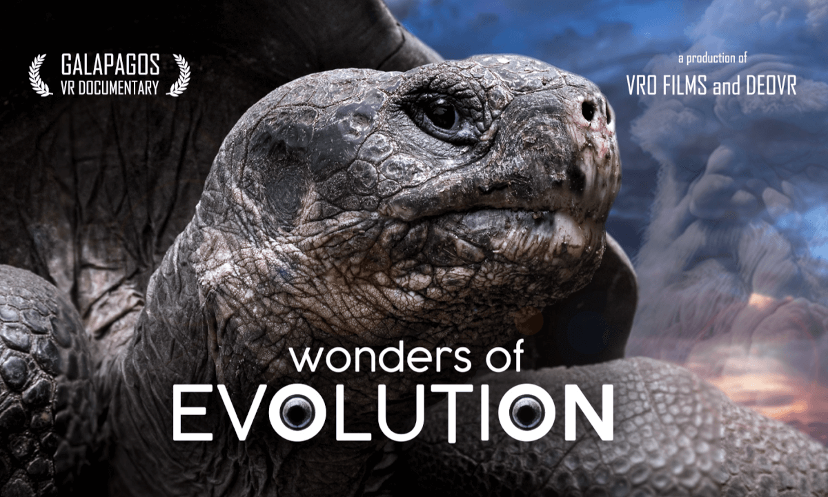 Wonders of Evolution | Galapagos VR Documentary 2024 | DeoVR