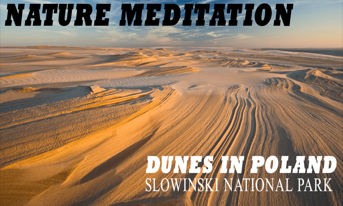 Nature meditation 5.7K 3D - Moving sand dunes in Poland (Slowinski ...
