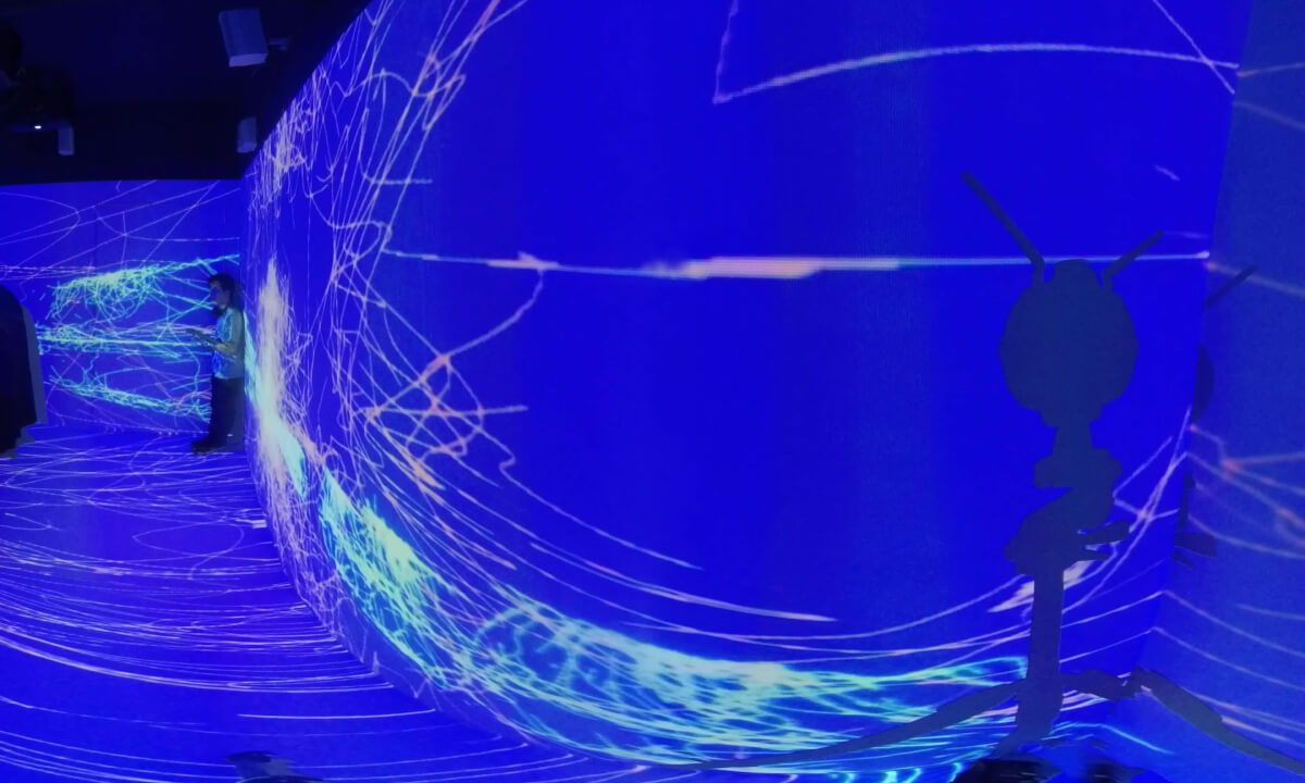 Video 2024-11-15, 15:24 - 12345677 - VR Video | DeoVR