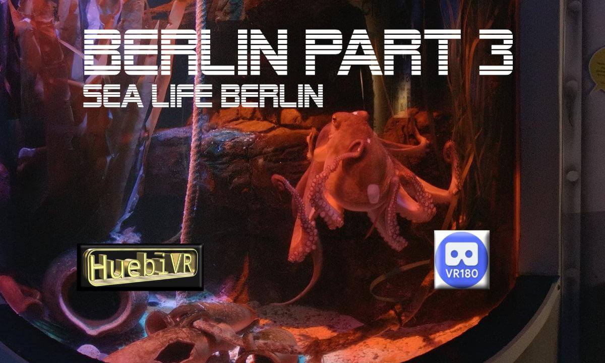 Berlin#3 Sea Life Berlin - HuebiVR - VR Video | DeoVR