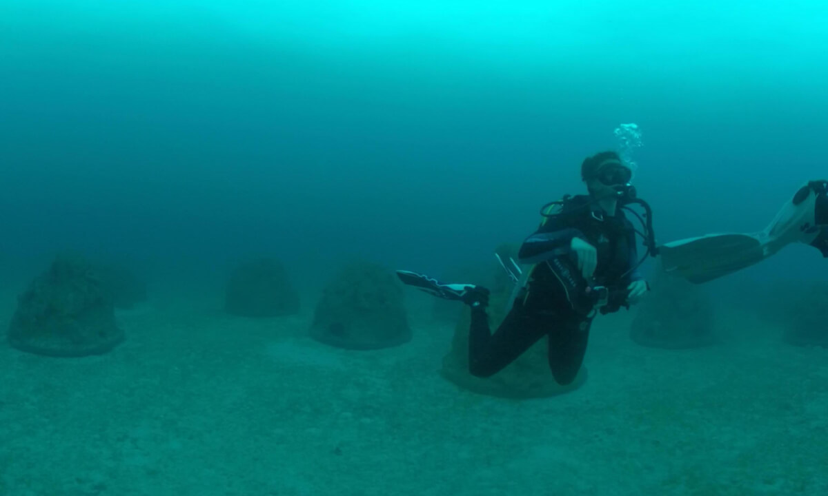 Exploring the 1000 Mermaids Artificial Reef in Hollywood, Florida