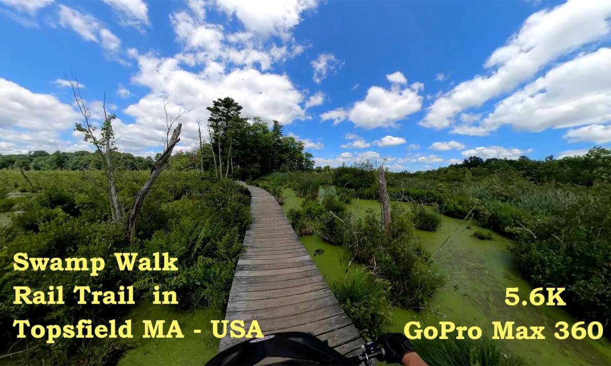 Swamp Walk 360 5.6K GP Max Video | DeoVR