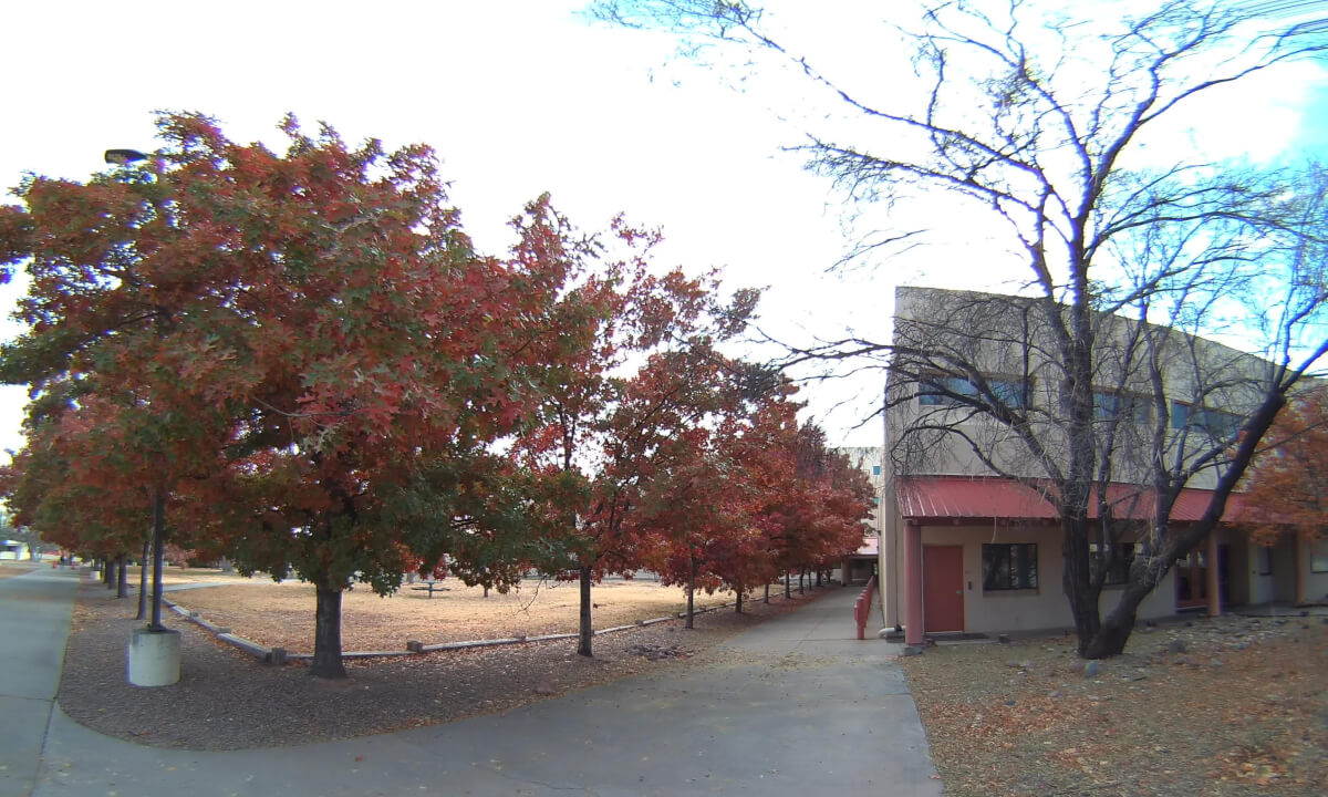 Workman Center Oaks 3D VR 8K 180 - MC1961 - VR Video | DeoVR