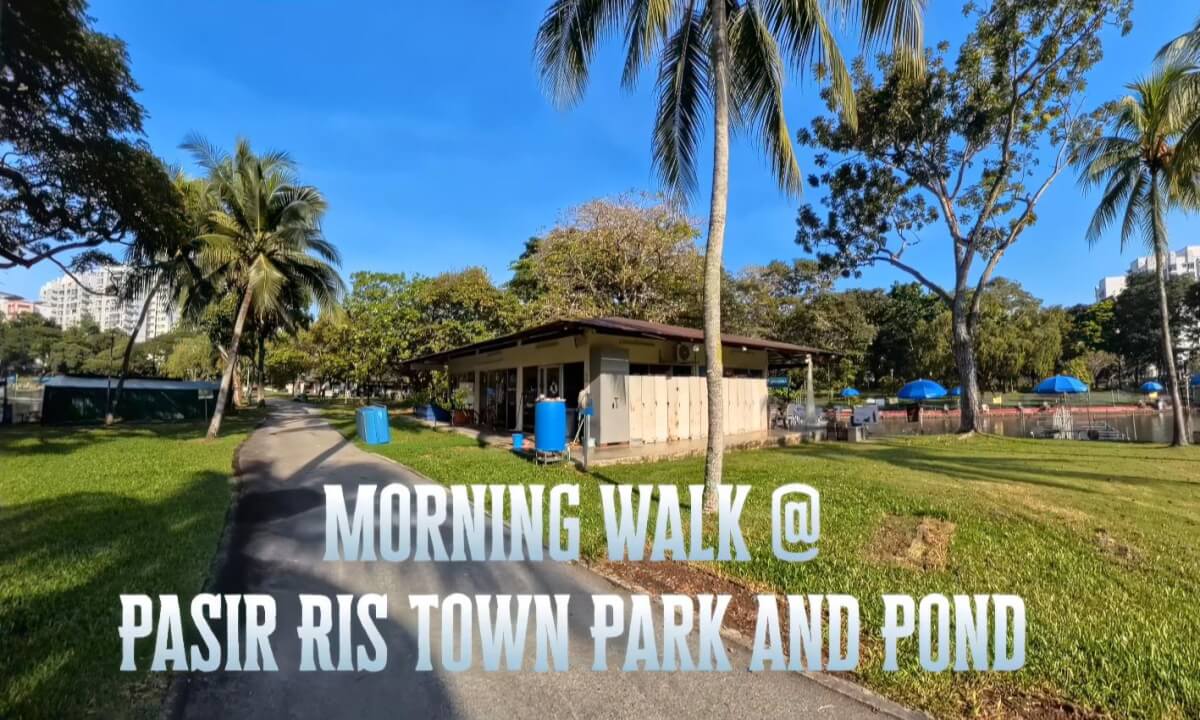 🚶Leisure Walking 🚶Pasir Ris Town Park and Pond Singapore