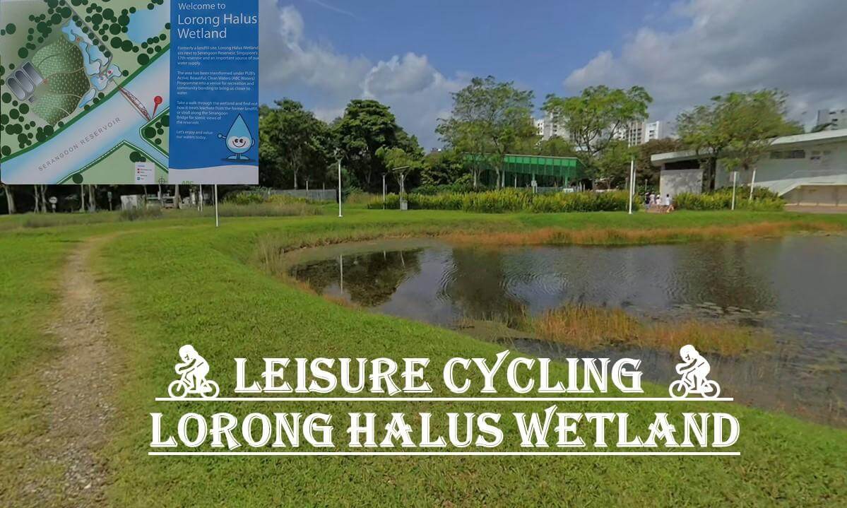 🚴🏻‍♀️Leisure Cycling 🚴🏻‍♀️| Lorong Halus Wetland | DeoVR