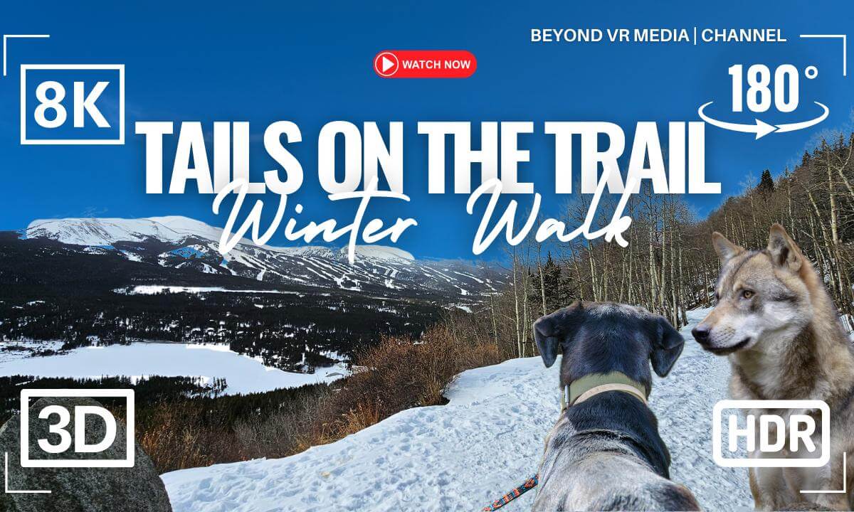 Winter Hike with Dogs. Exploring Boreas Pass. Breckenridge Colorado. Travel Vlog