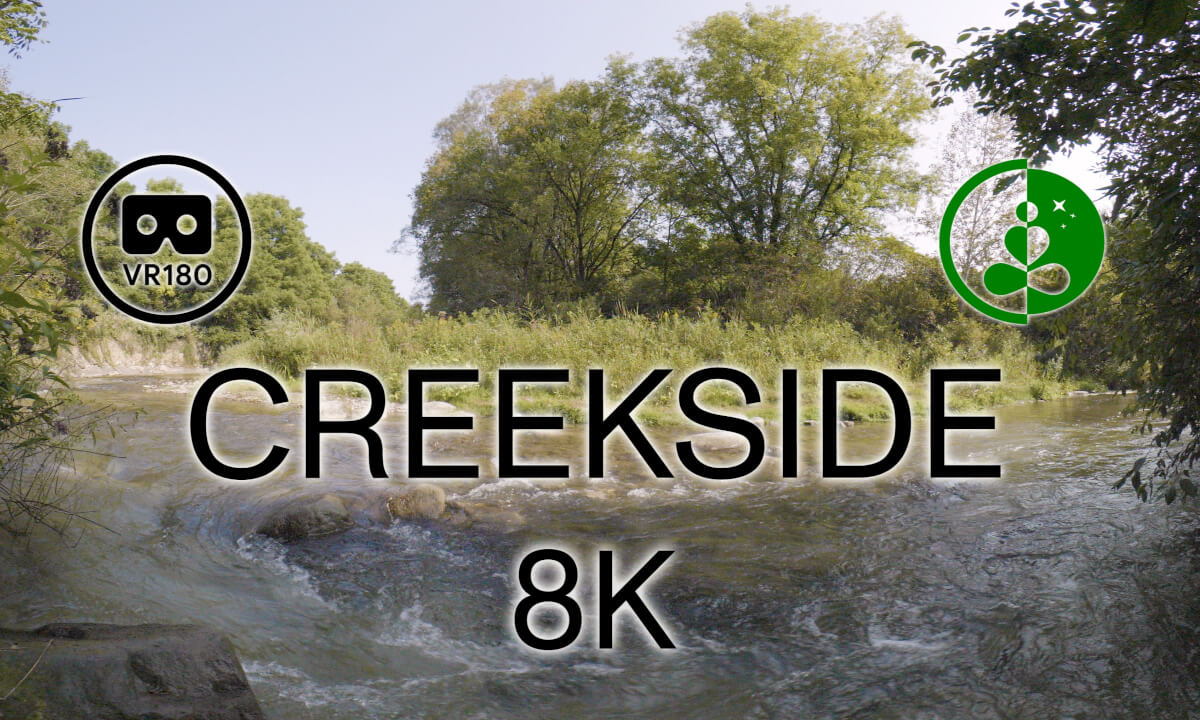 CREEKSIDE - VR180° Experience in 8K | DeoVR