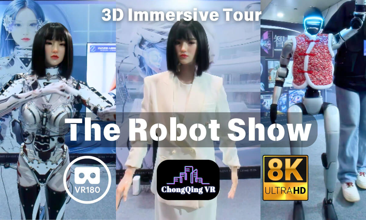 Immersive Tour On Chongqing Robot Show 重庆机器人展览 | DeoVR