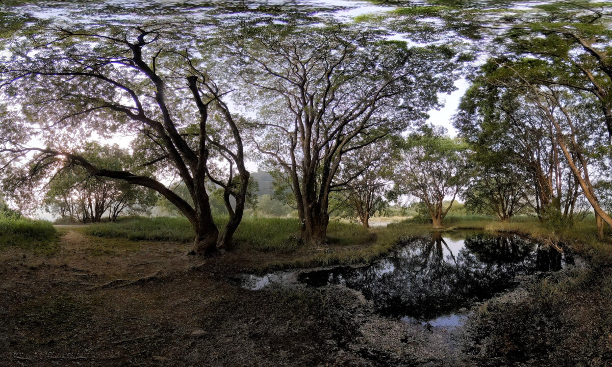 A small water hole in Upo wetland | DeoVR