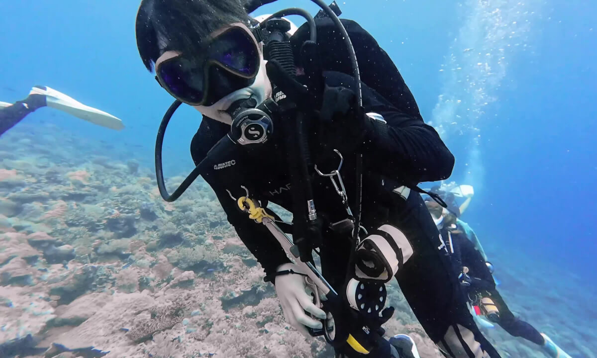 【4K】Dive into Paradise: Coral Kingdoms"PALAU"