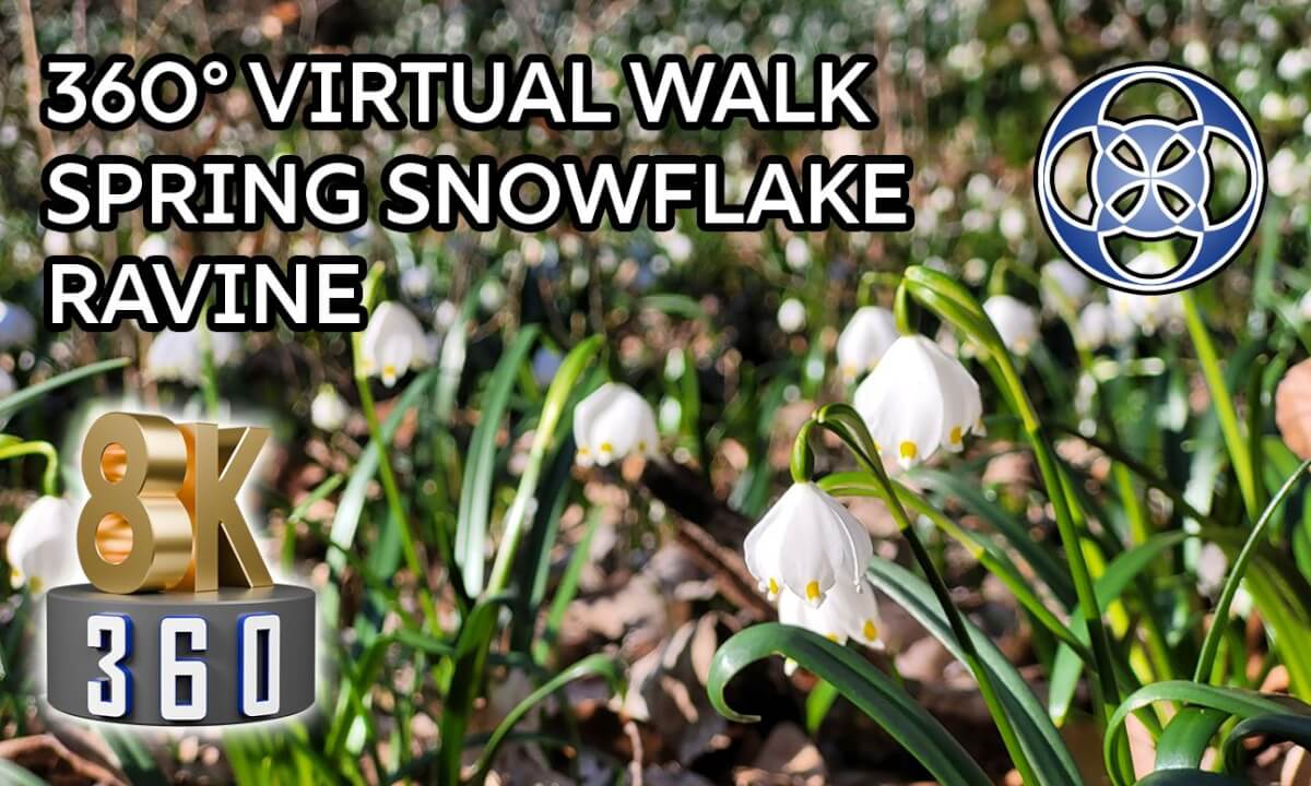 Snowflake Ravine Nature Reserve - Wirtual Walking Tour - 360 8K VR with Ambisonic spatial sound
