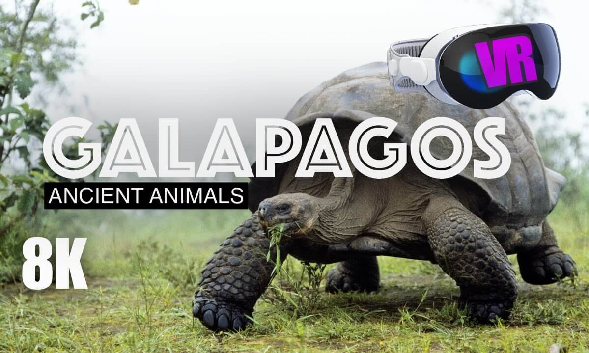 GÁLAPAGOS in 3D: Ancient Animals | DeoVR