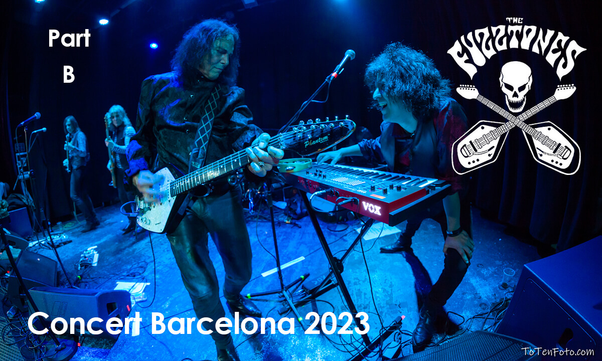 The Fuzztones - concert sala Upload (BCN) - Part B | DeoVR