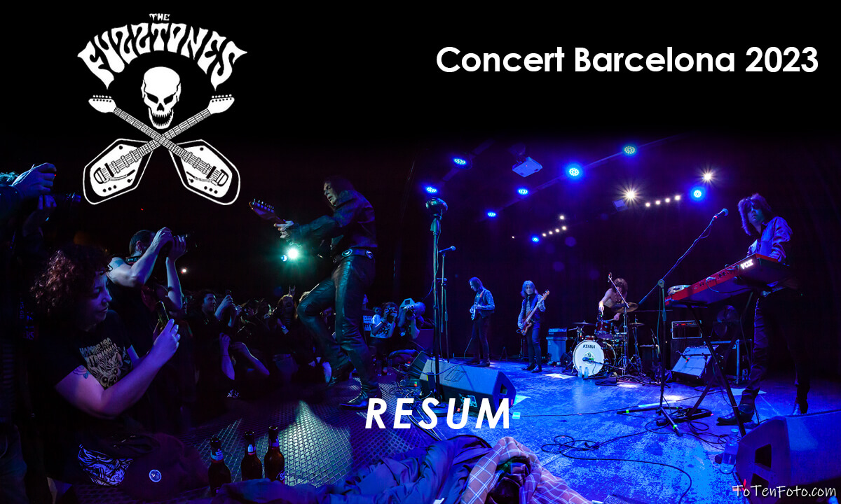 The Fuzztones - concert Barcelona - resum | DeoVR